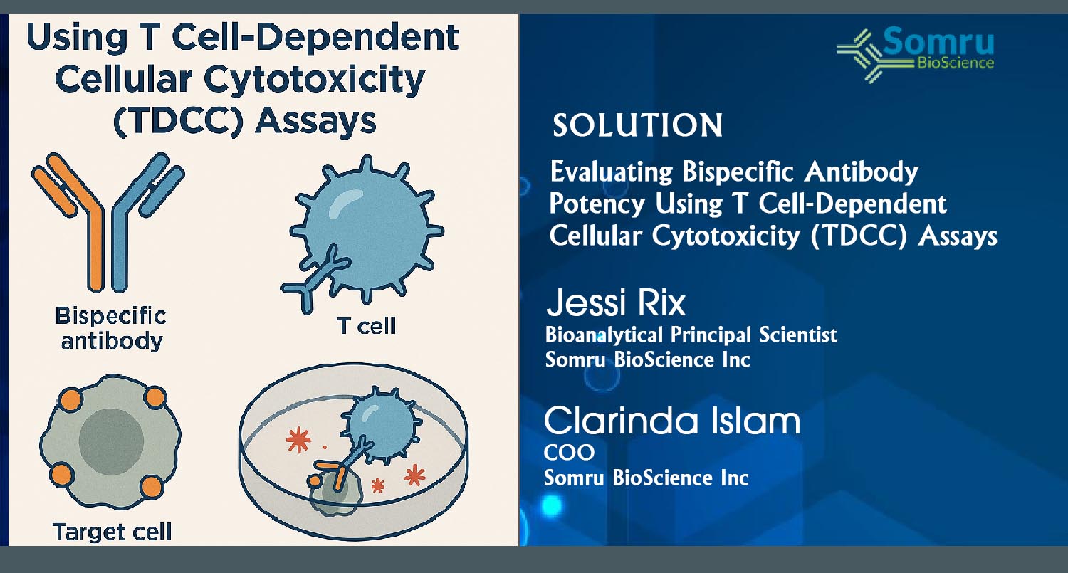 Evaluating Bispecific Antibody Potency Using T Cell-Dependent Cellular ...